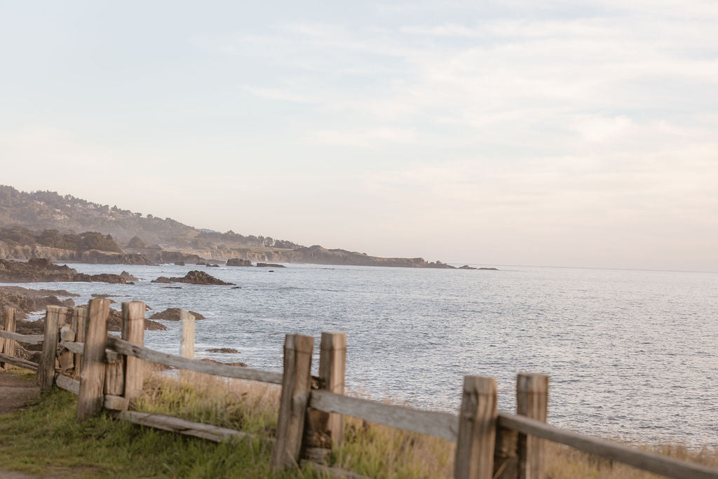 Sea Ranch Lookout | Framed Fine Art Print by Carly Tabak