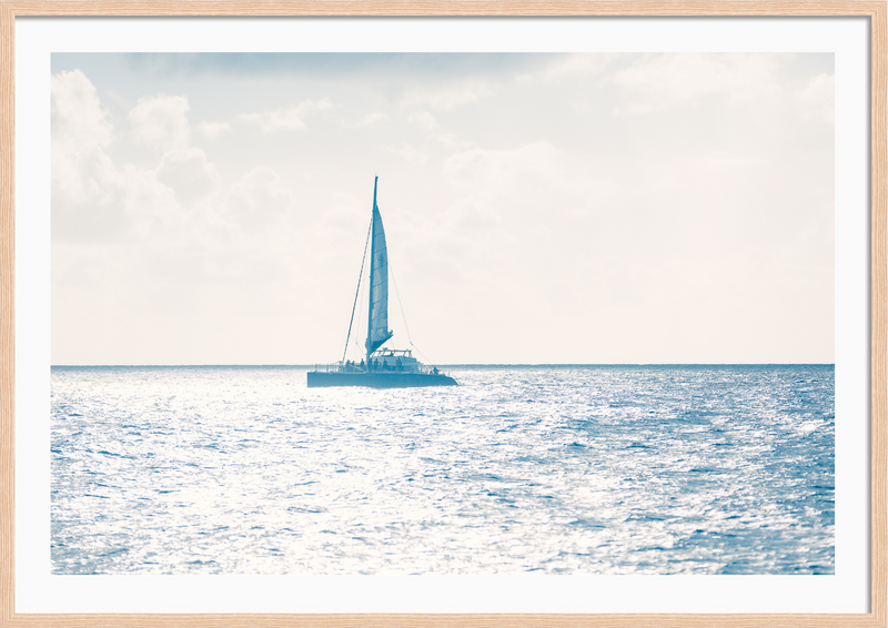 Blue Sail | Framed Photography Wall Art by Carly Tabak
